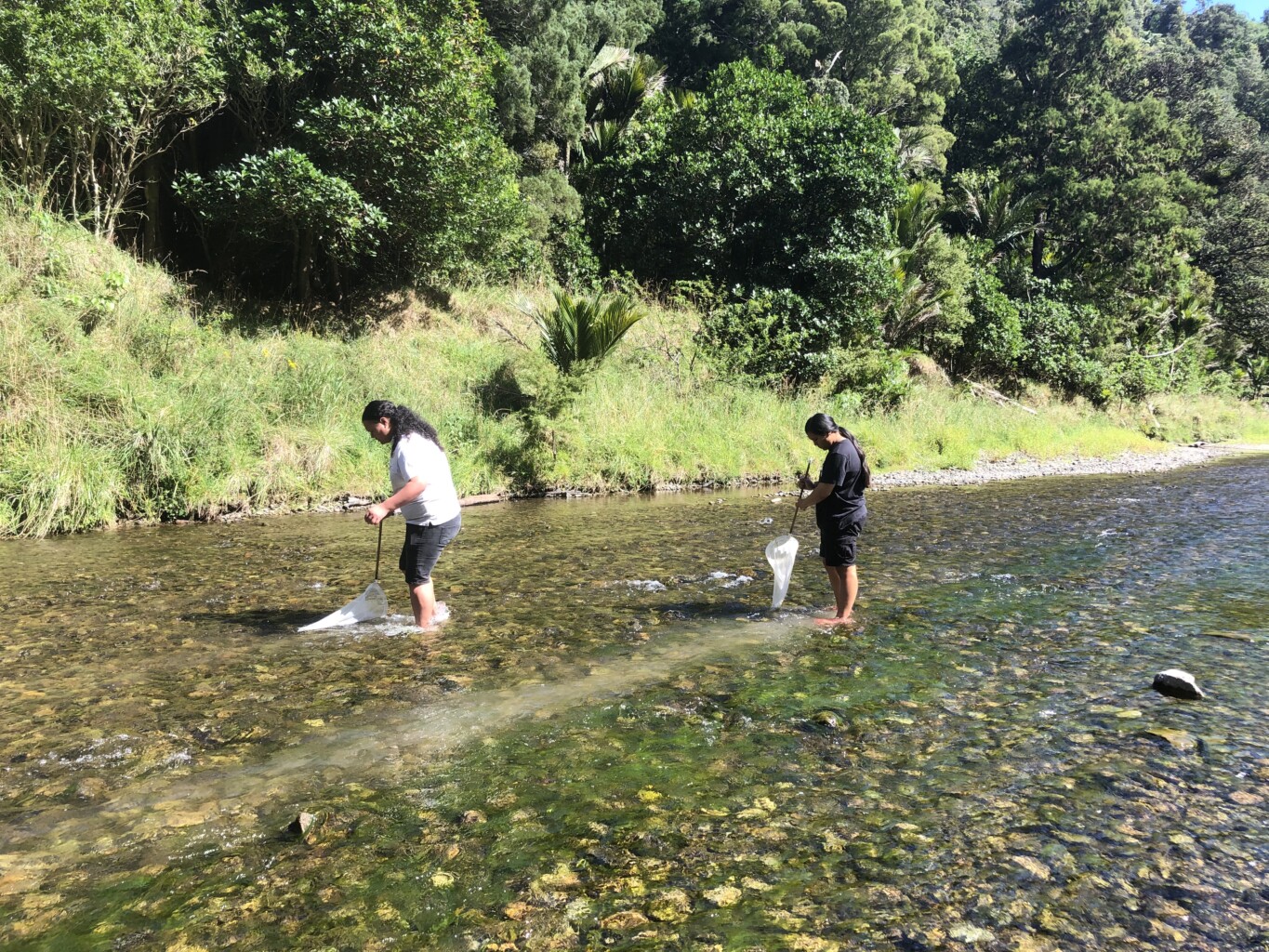 Kaikohe Christian School
